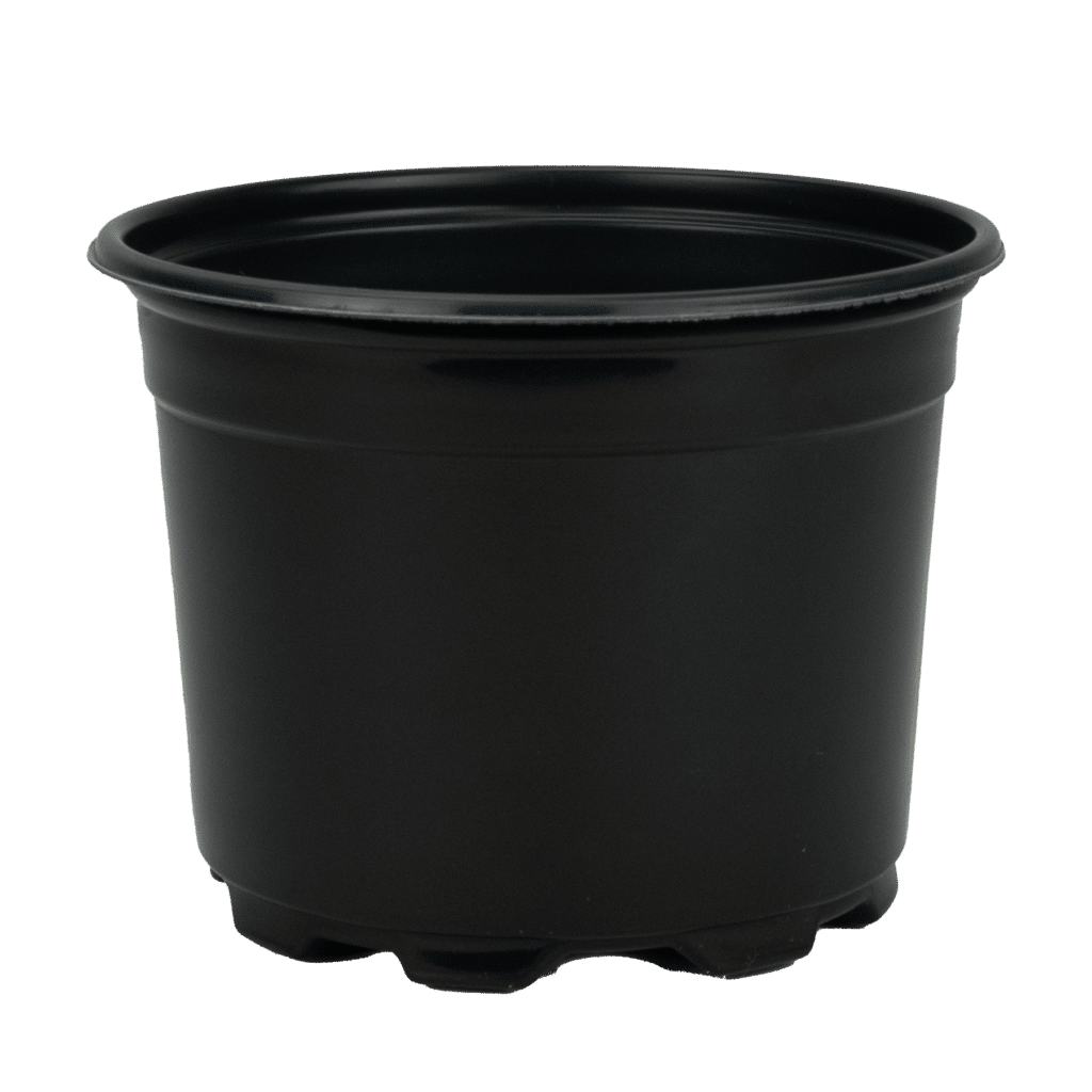 5.00 Round Azalea Short Pot Co-ex | HC Companies | Wholesale Pots