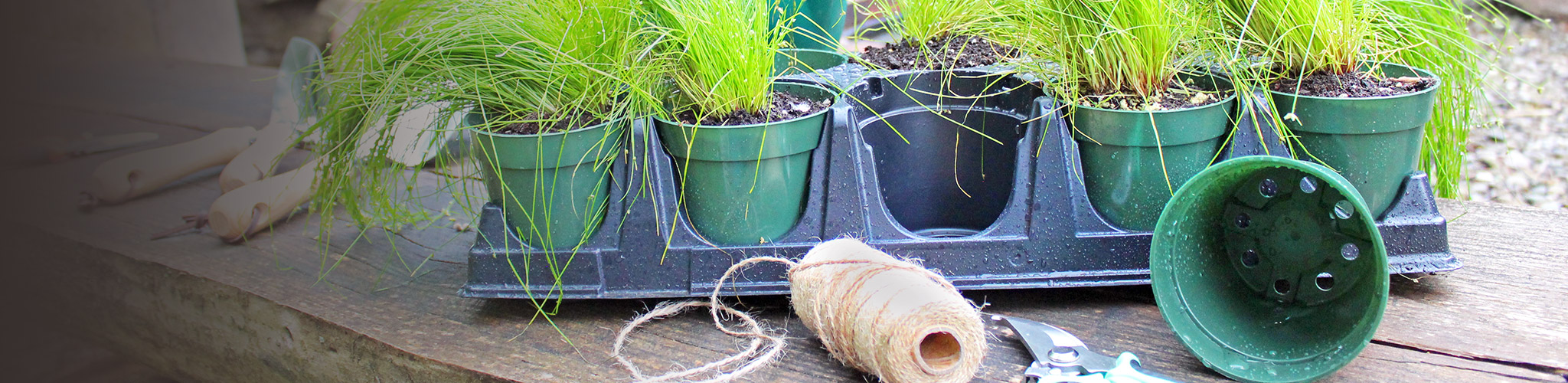 Growers | The HC Companies