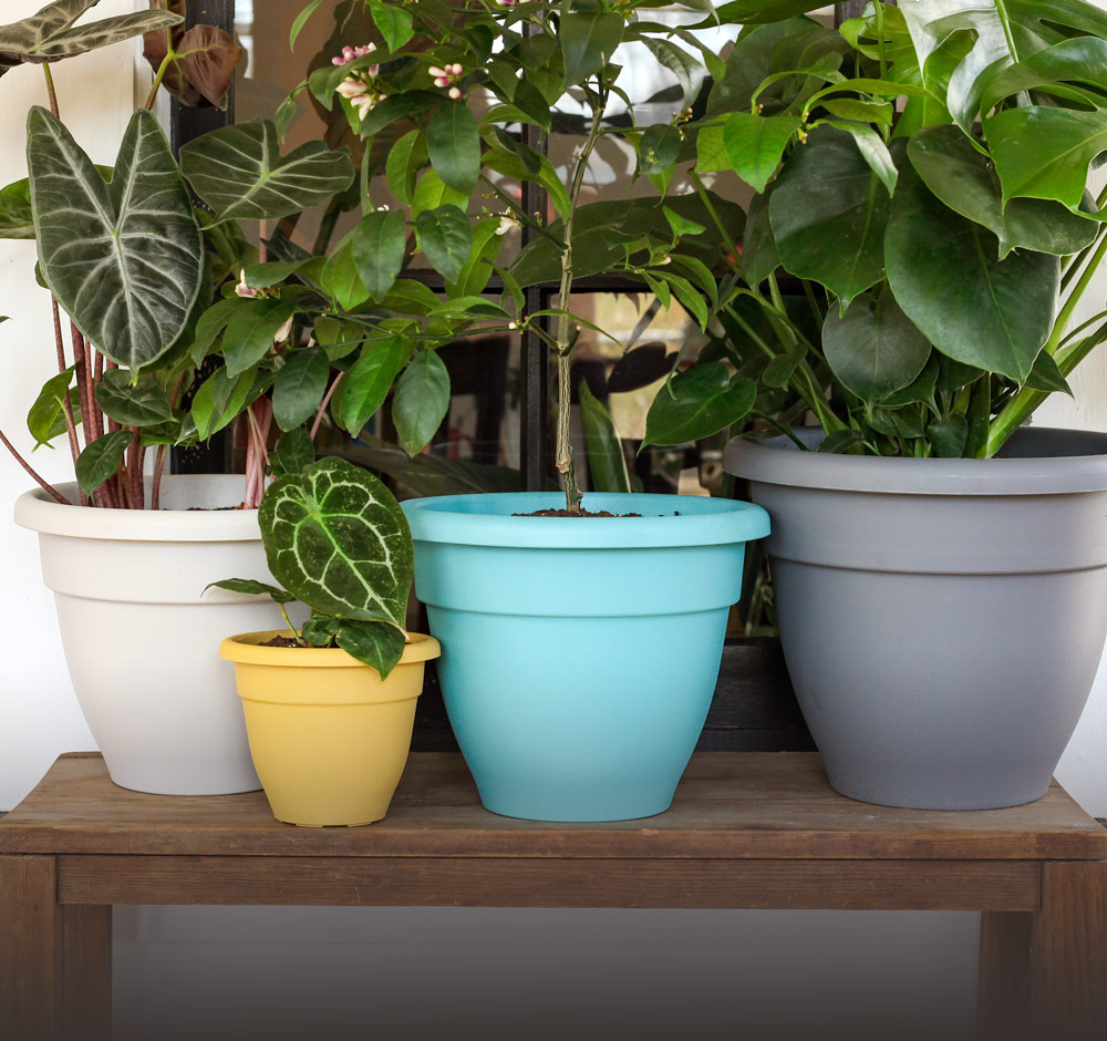 Buy Online | The HC Companies