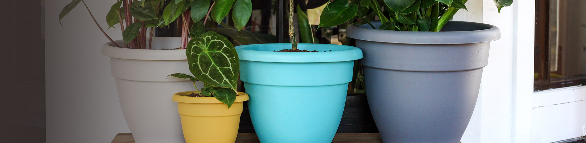 HC Companies Consumer Product Catalog | Retail