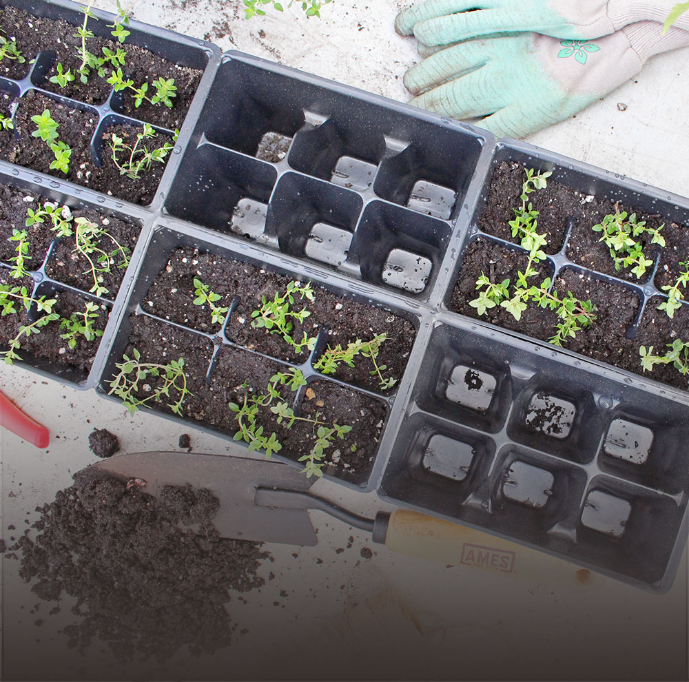 Greenhouse, Nursery and Fiber Containers Catalog | HC Companies