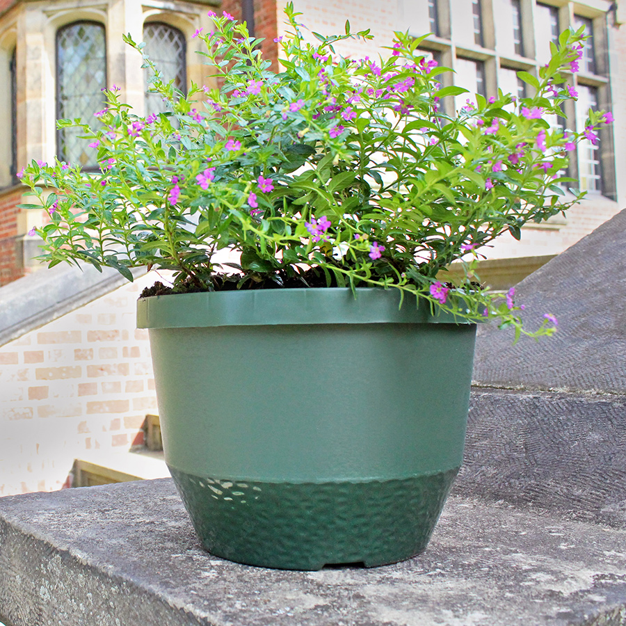 Wholesale Greenhouse Growing Containers, Planters, and Pots