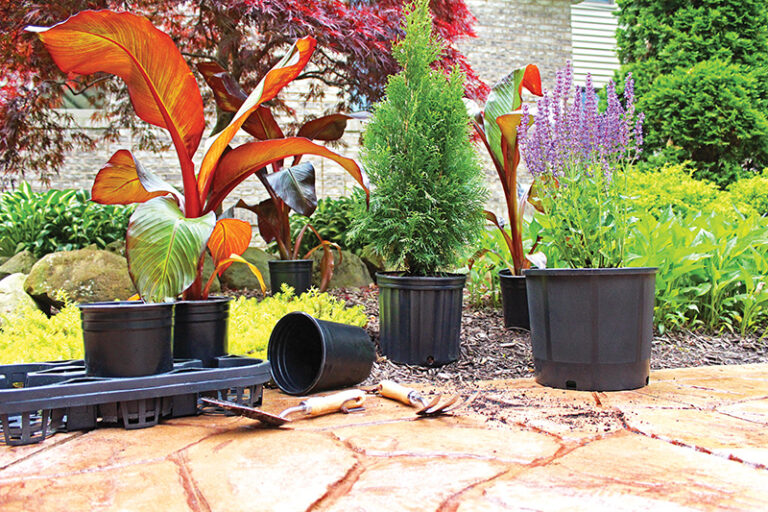 Navigating Nursery Containers: Sizes, Transplanting, and Stability ... Navigating Nursery Containers: Sizes, Transplanting, and Stability ...