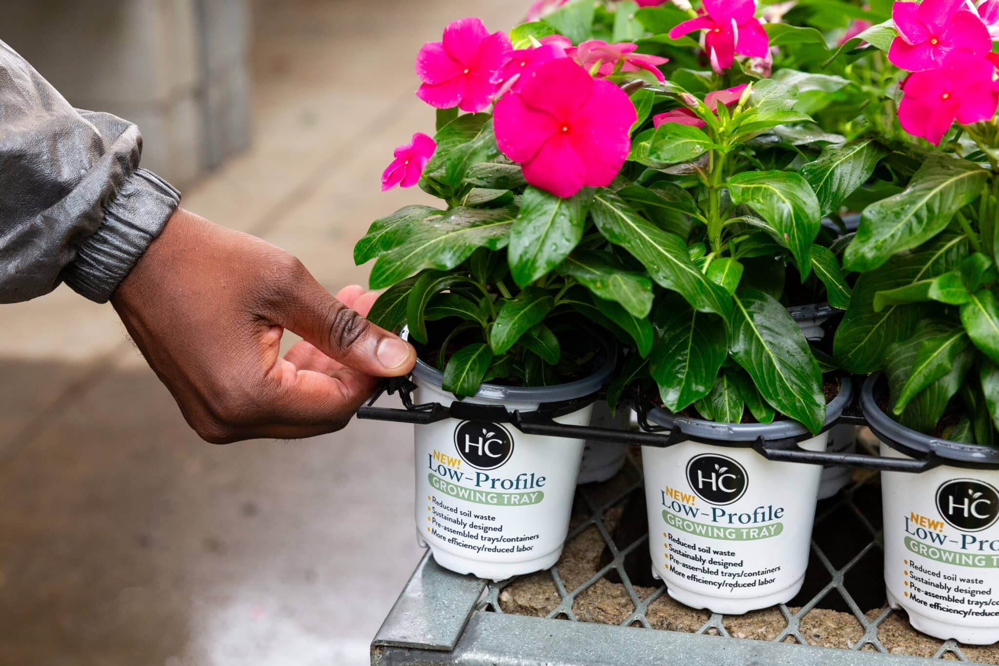 Wholesale Plant Containers, Planters, Plant Pots | Bulk Flower Pots