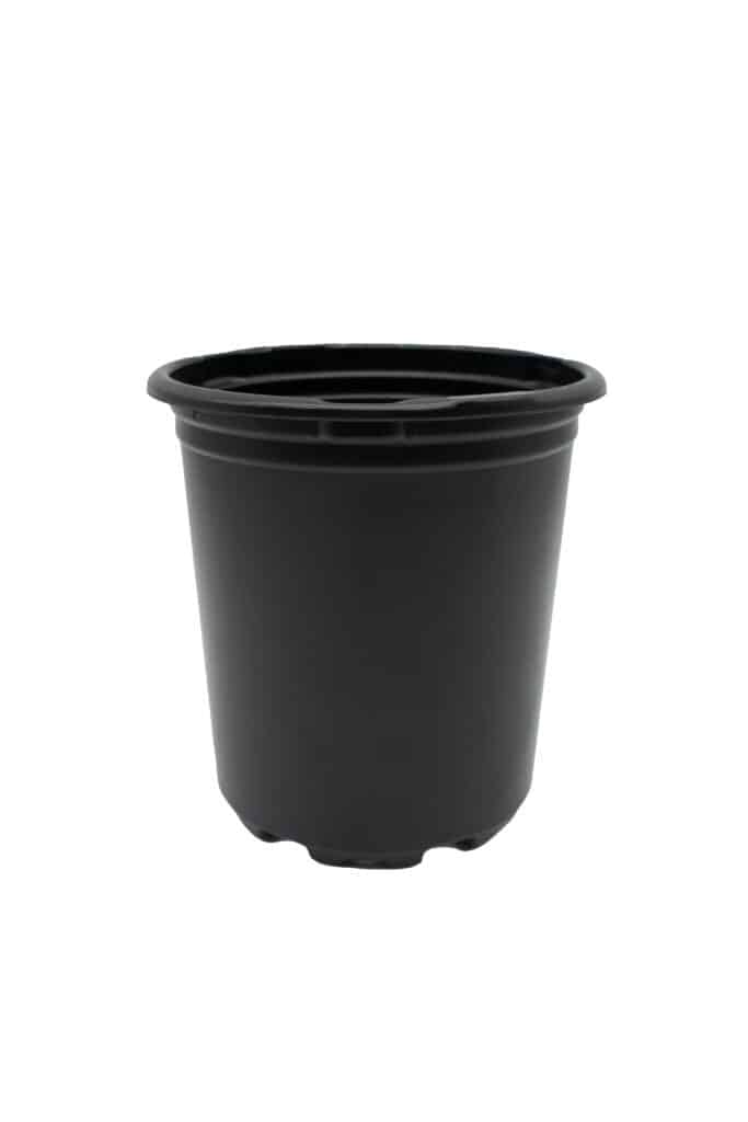 1.00 G Thermoform Nursery Pot | The HC Companies